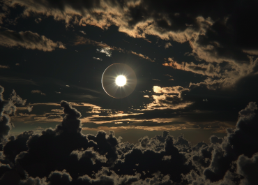 Security Services - Phillips Protective